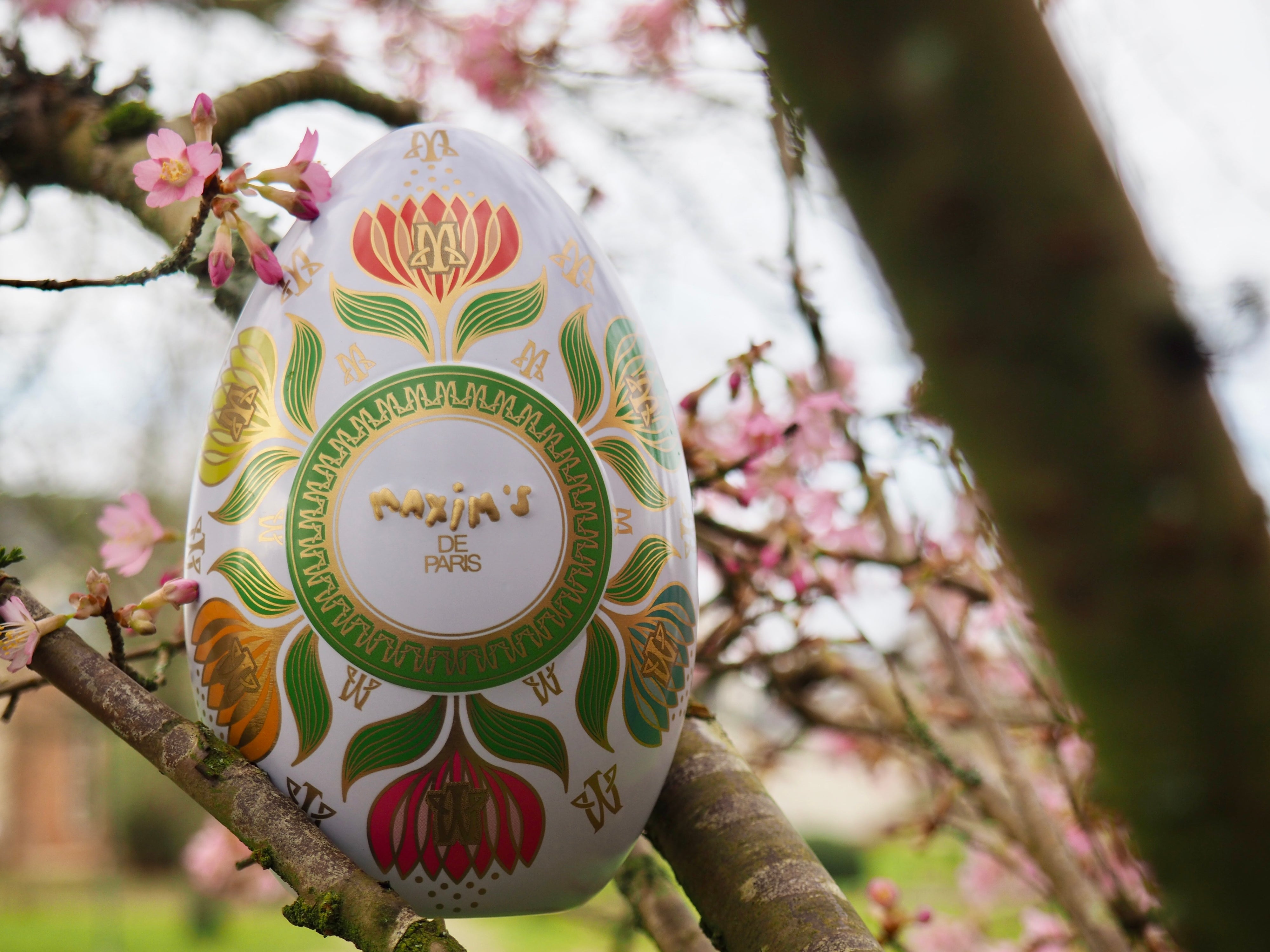 French Store Online NYC – French Wink